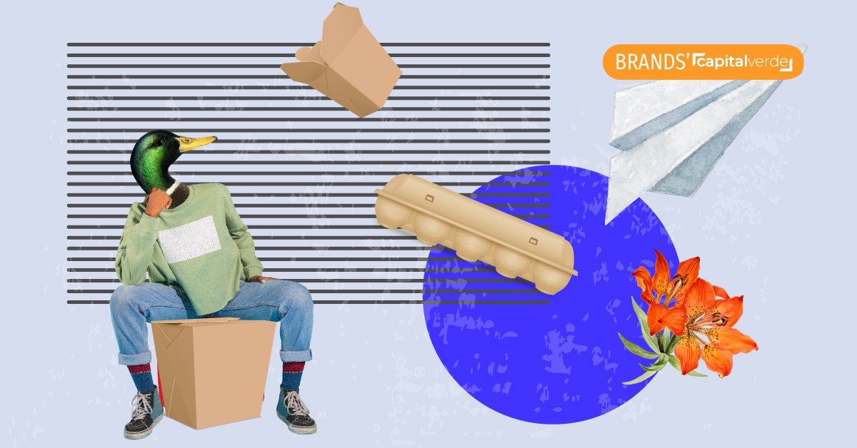 De casa para o ecoponto azul. Recorde o que reciclar e como – ECO