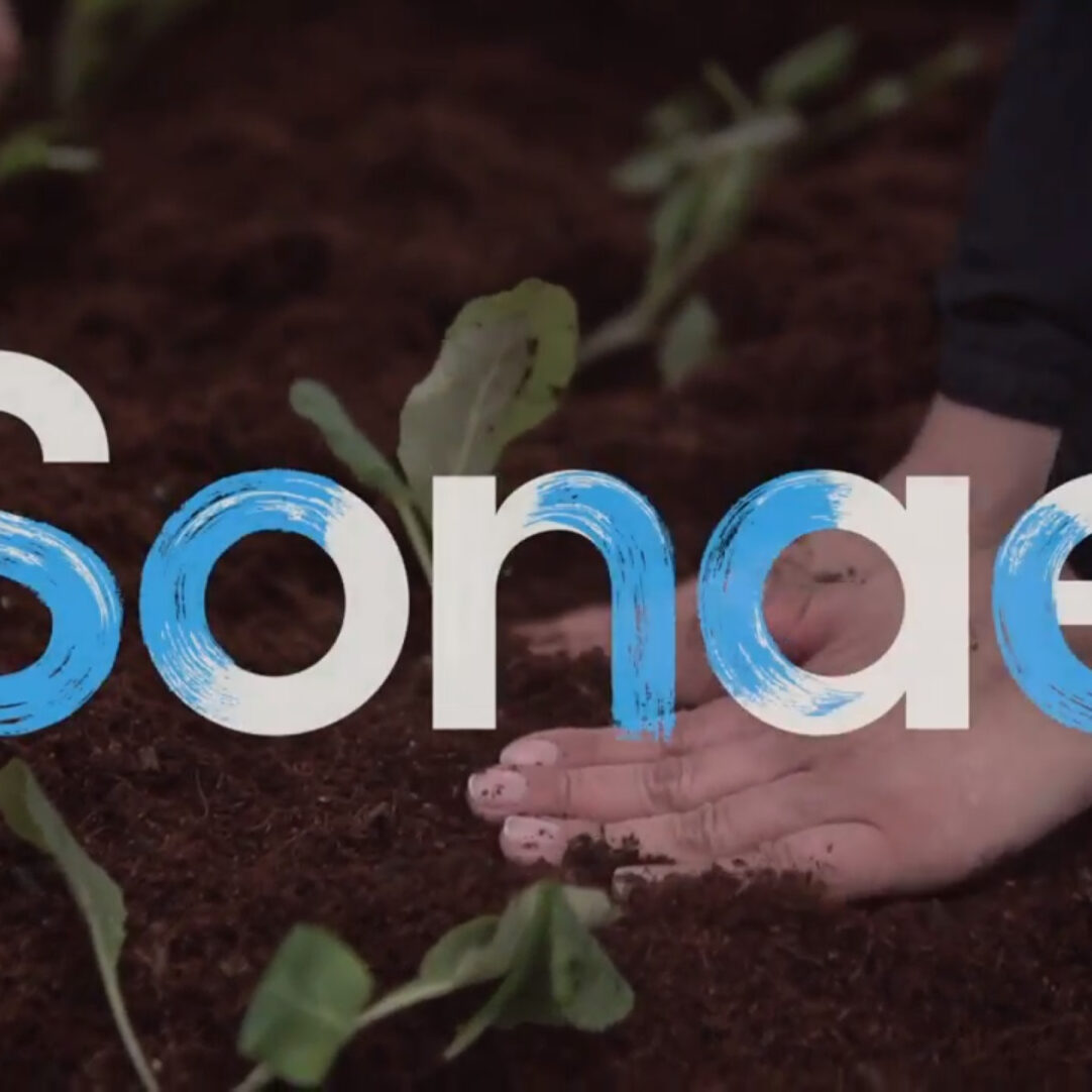 Da Efanor ao império do retalho em Portugal. O legado do patrão do ...