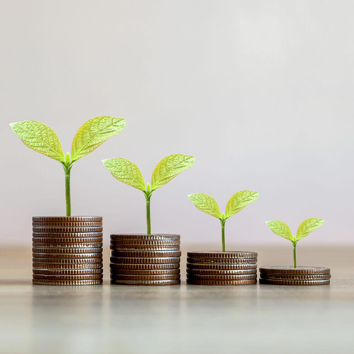 Capital Verde – ECO