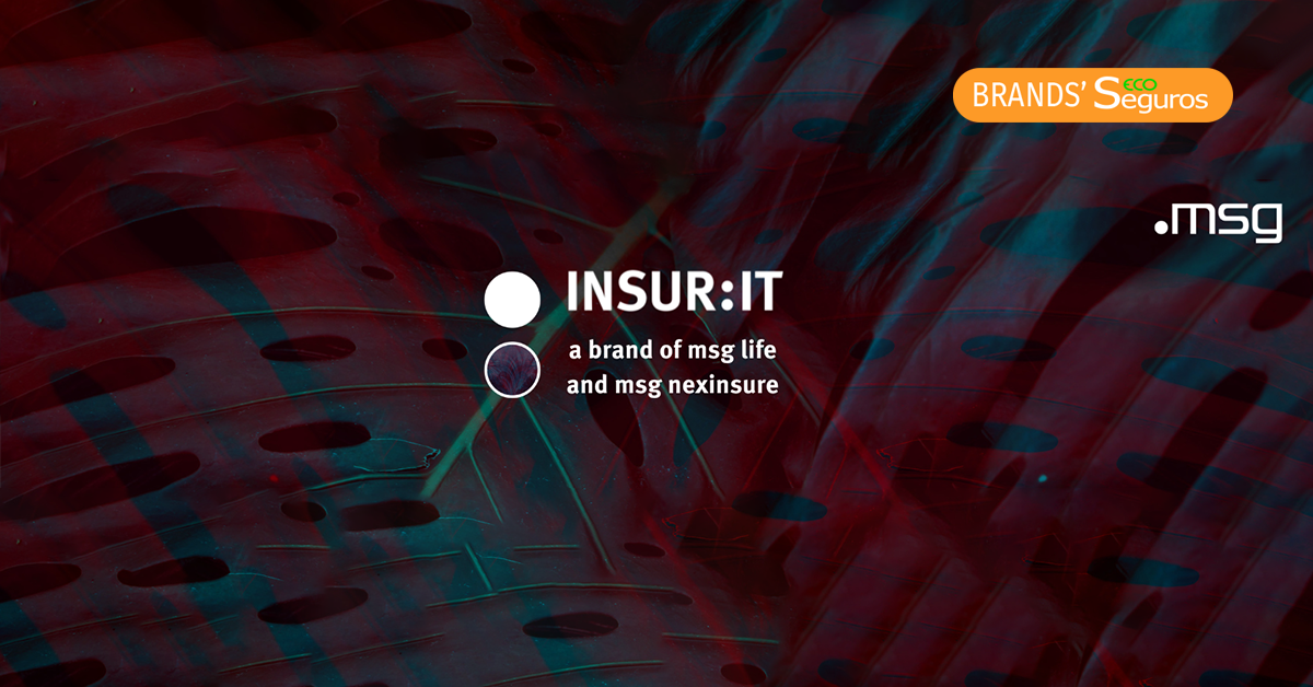 msg insur:it disponibiliza um leque de soluções de software – ECO
