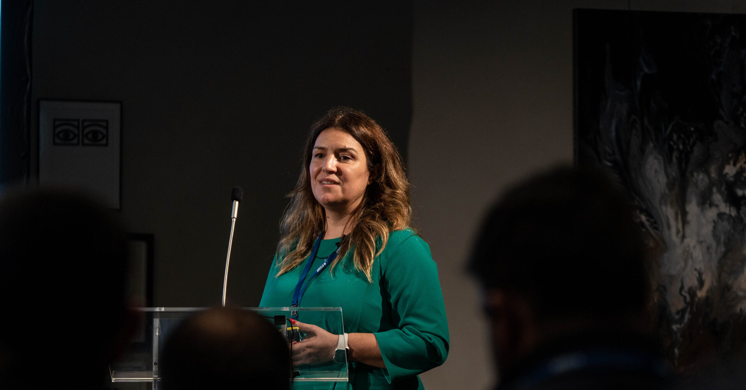 Sandra Moás sai da Asisa para coordenar nova estratégia de retalho dos ...