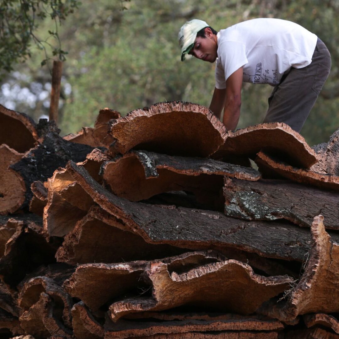 Capital Verde – ECO