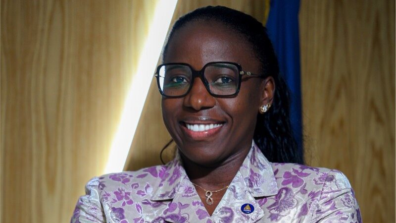 Filomena Manjata é a nova reguladora dos seguros em Angola – ECO