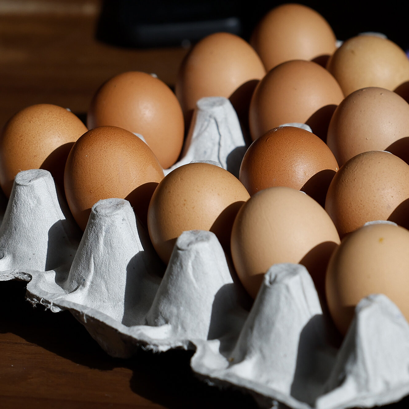 Fátima Castro – ECO